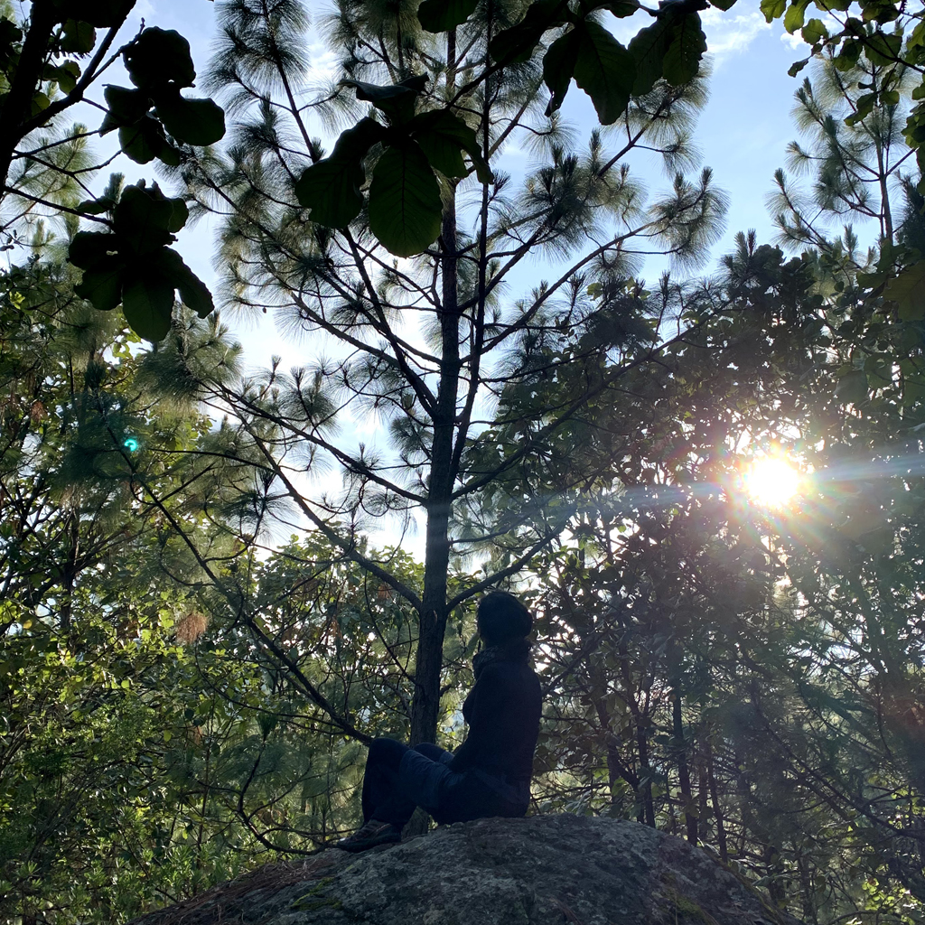 ¿Qué hacemos? – Carbon Plus